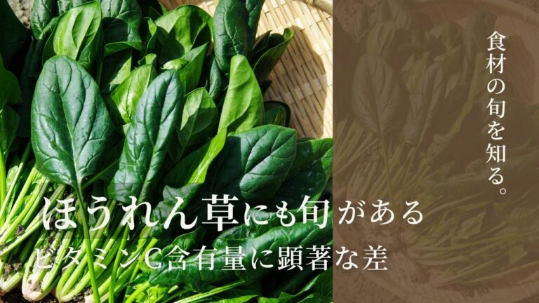 ほうれん草にも旬がある ビタミンC含有量に顕著な差 – Repro | 最先端のIHクッキングヒーター：COLUMN